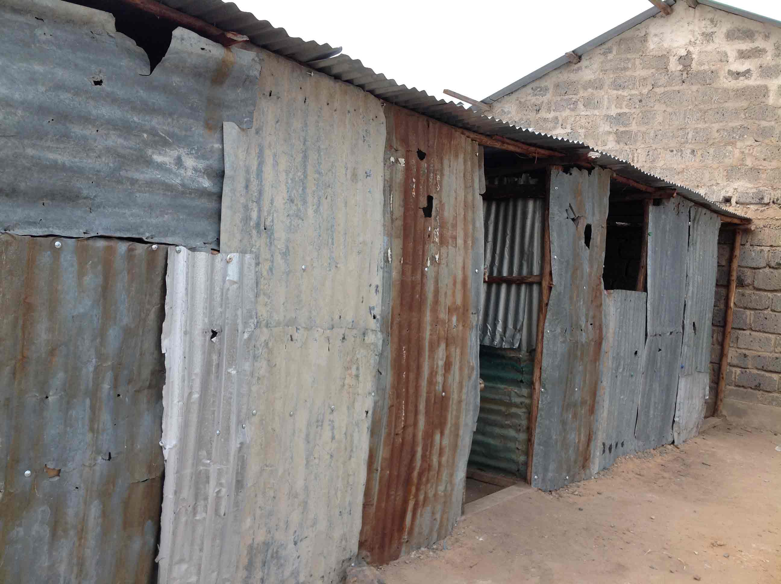 Mountain View Primary School Amara Trust