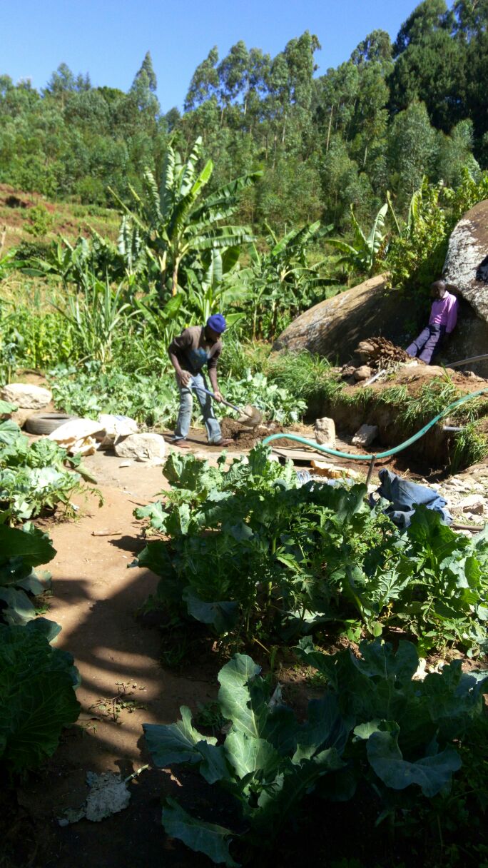 water well – Amara Trust