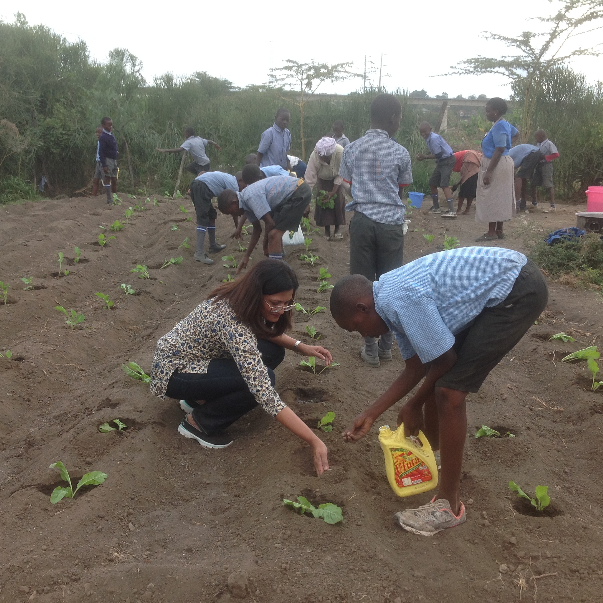Setting up of the vegetable garden. – Amara Trust