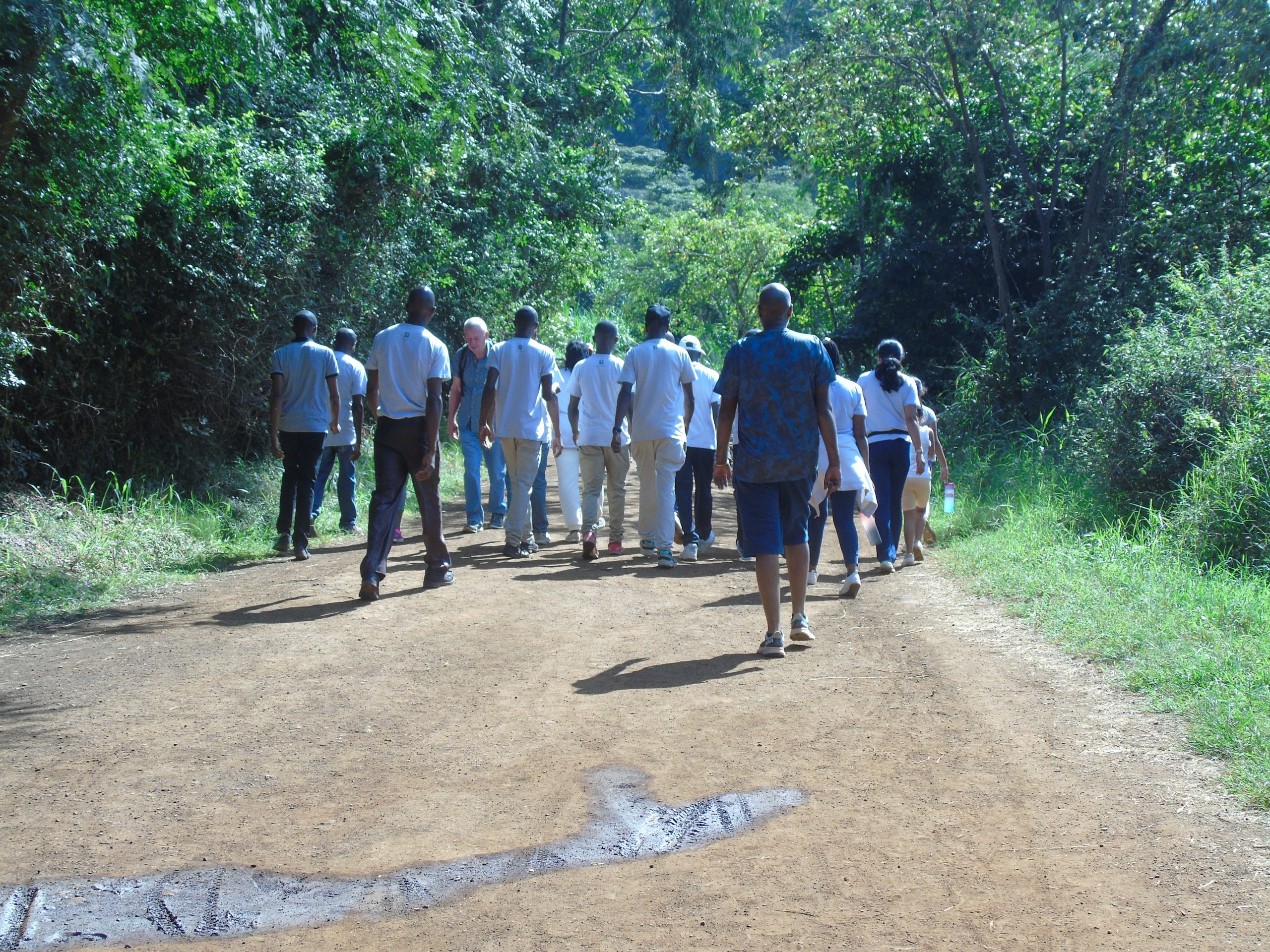 FUNDRAISER – Amara Trust